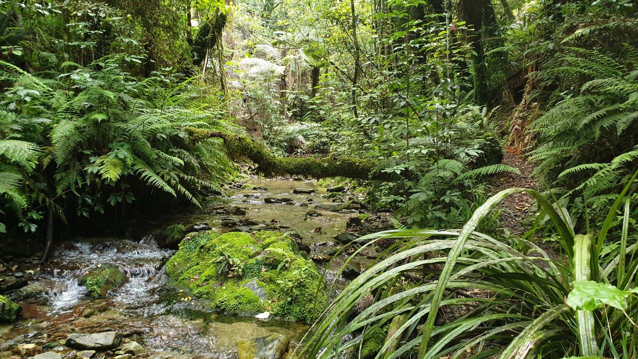 Brook Valley Holiday Reserve
