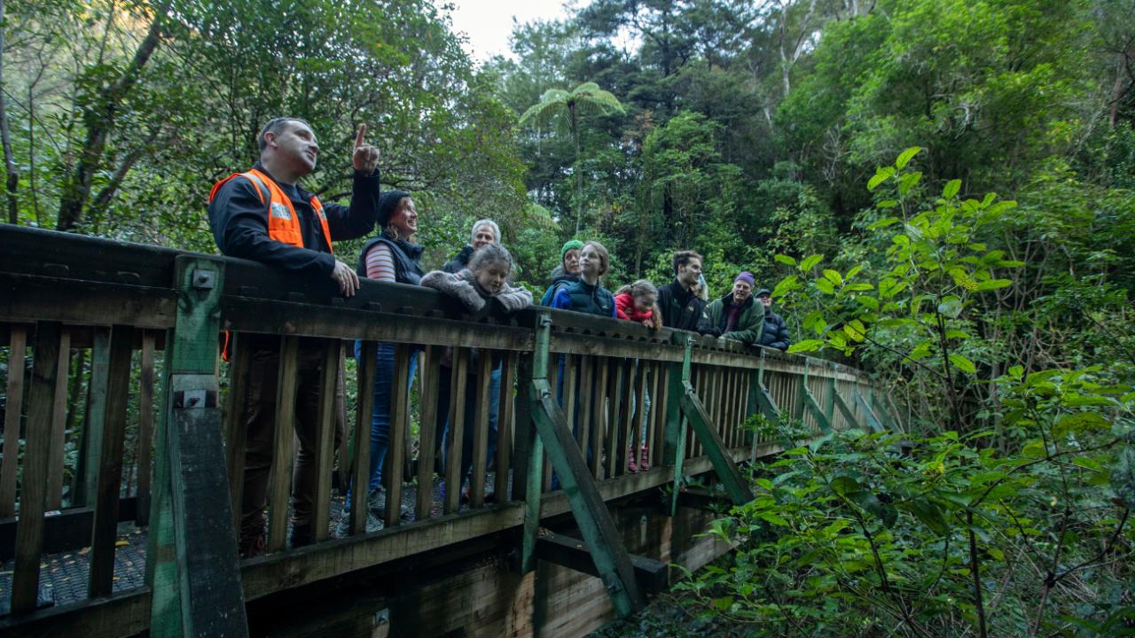 Brook Waimārama Sanctuary