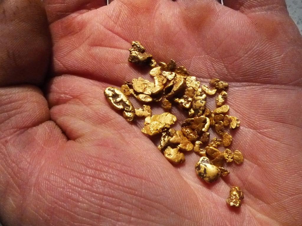 Gold Hunting Adventures