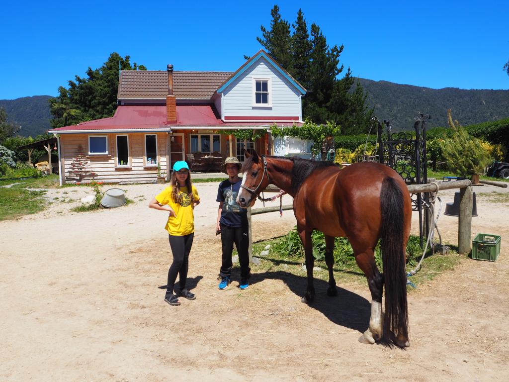 Hack'n Stay Golden Bay/ Hack Farm - Camping